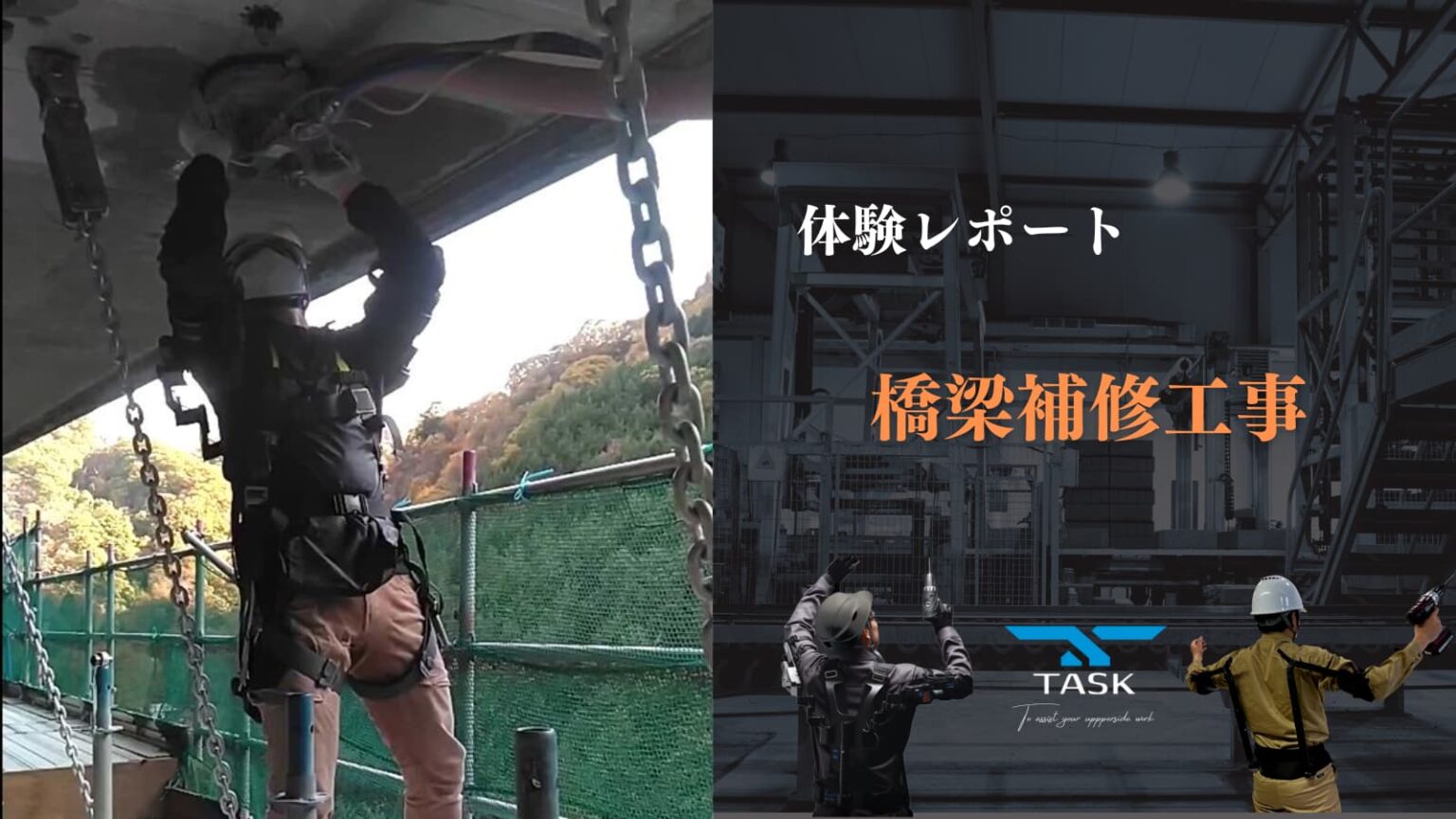 TASK AR2.0 / 株式会社ダイドー | 株式会社ダイドー